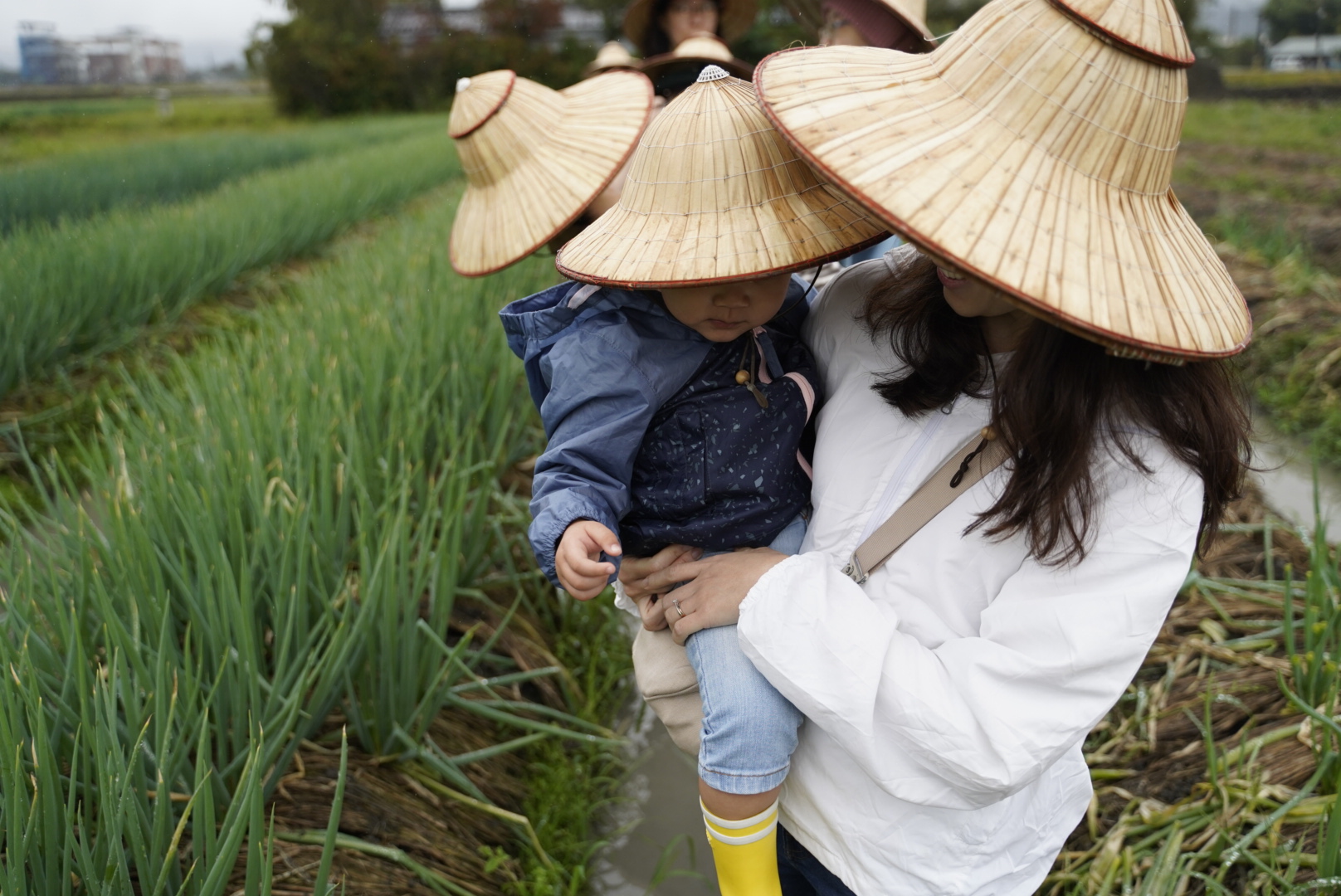Can you self drive in Taiwan? Here’s our take. ‣ at the chias